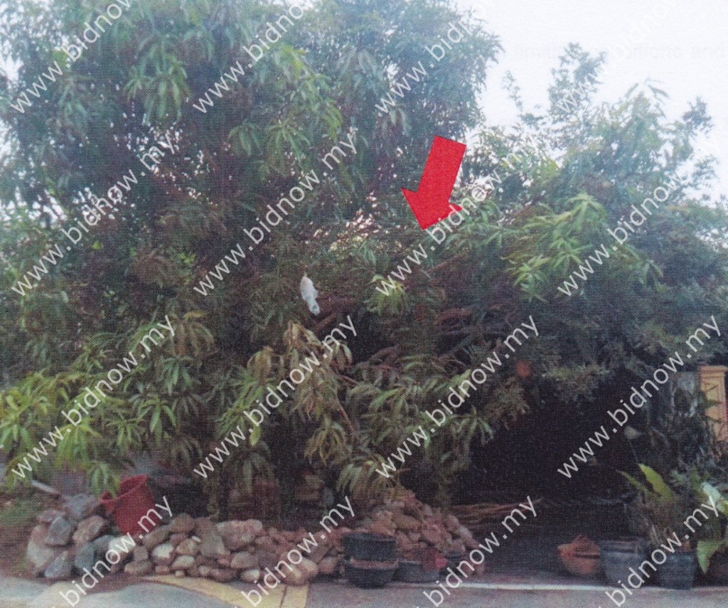 Jalan Mutiara Utama, Taman Desa Mutiara, 33310 Gerik, Perak
