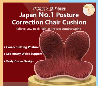 Japan No. 1 Posture Correction Chair Cushion Lumbar Waist Back Support ...
