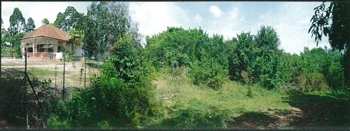 Jalan Lendu-Rembia, 78000 Lendu, Melaka