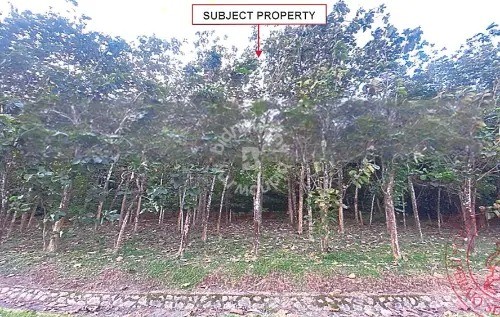 Title No. Geran Mukim 4027, Mukim Of Bukit Gantang, 0, District Of ...